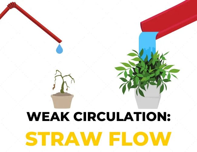 Poor Circulation = “Straw Flow” - Natural Vasodilators Can Help ...
