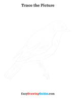 Get a Membership to Easy Drawing Guides