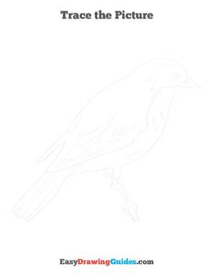 Get a Membership to Easy Drawing Guides