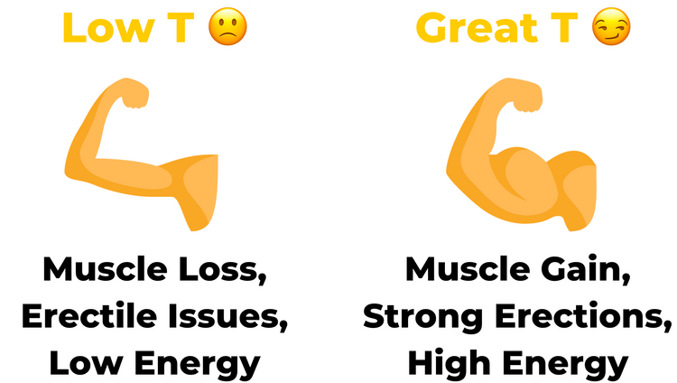 Age-Related Muscle Loss ( From Email)