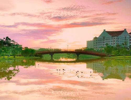 100% Scholarship Available | XMU