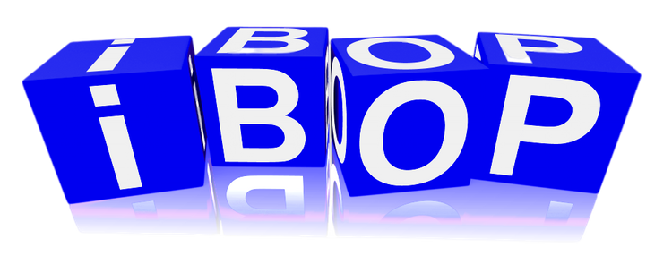 iBOP is Your Online Financial Modelling Solution