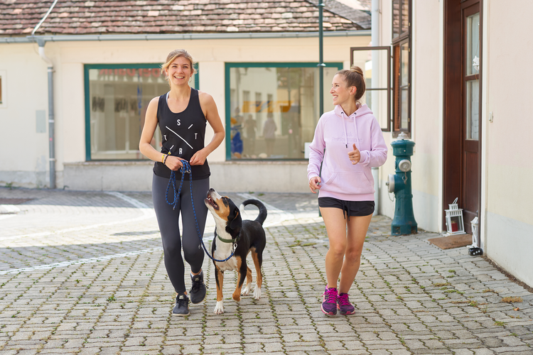 Feelgood Channel - DNA Analyse 2.0