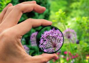 Design Your 4-Season Garden - Online Garden Design Course