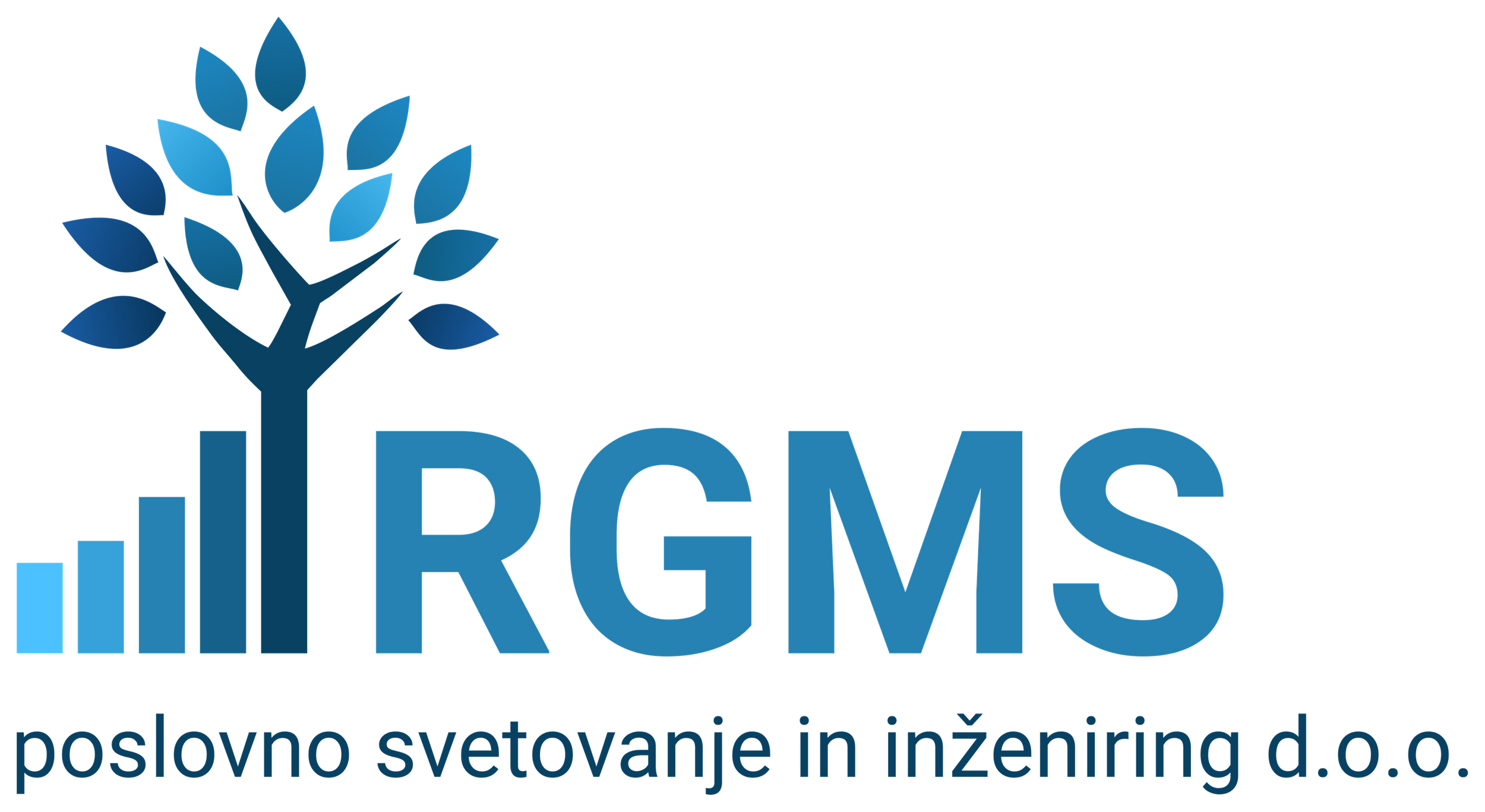 RGMS