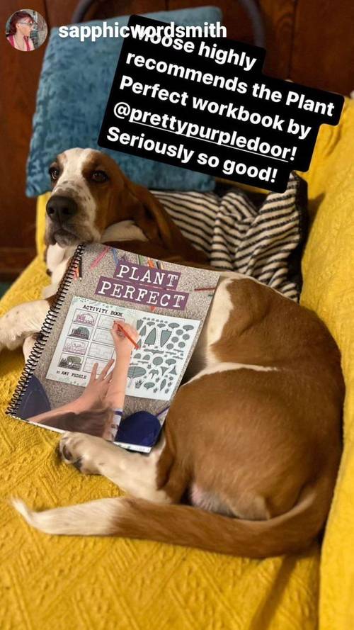 Plant Perfect Activity Book (Coil Bound)