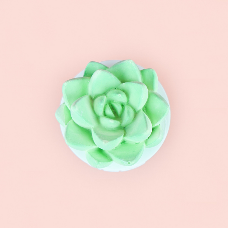 Essential Oil Succulent Diffuser