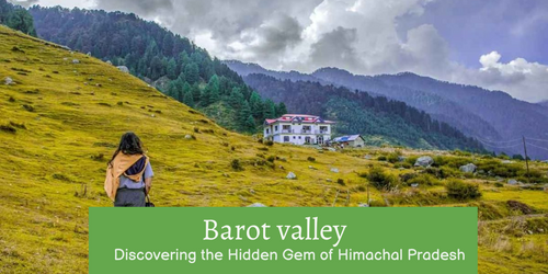 Barot Valley: A Hidden Gem in Himachal Pradesh