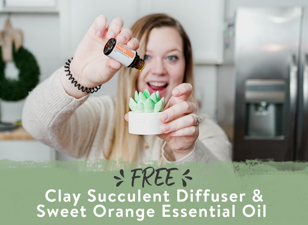 Essential Oil Succulent Diffuser