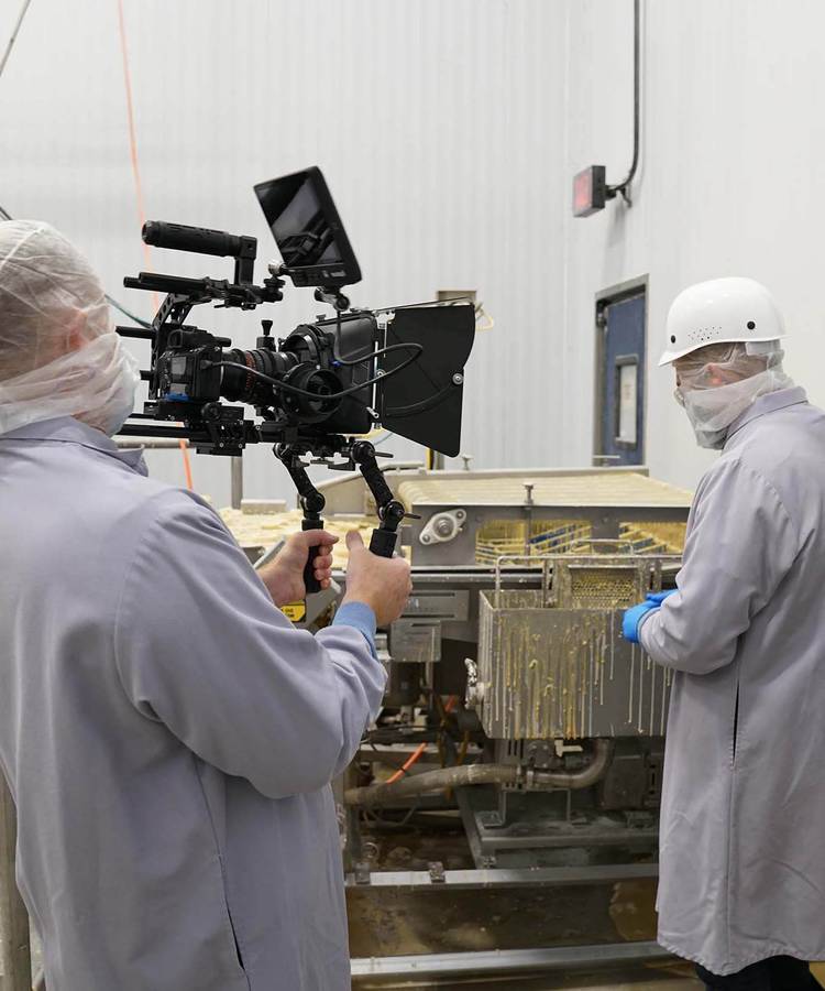 Alchemy Studios: Course Customization, Translation, Development