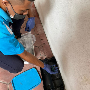 Trusted Pest Control Service in KL and JB | One Stop Pest Control