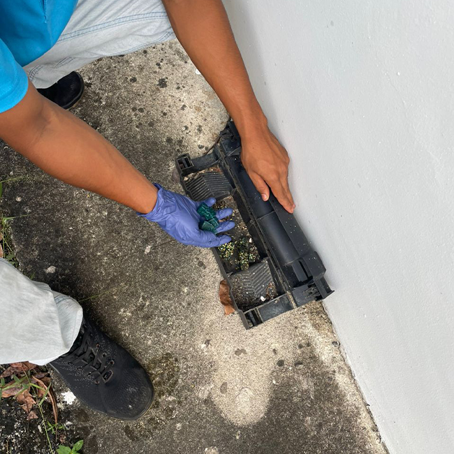 Trusted Pest Control Service in KL and JB | One Stop Pest Control