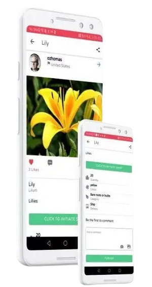 Floragora | Best Plant Identification App for Plant Trading