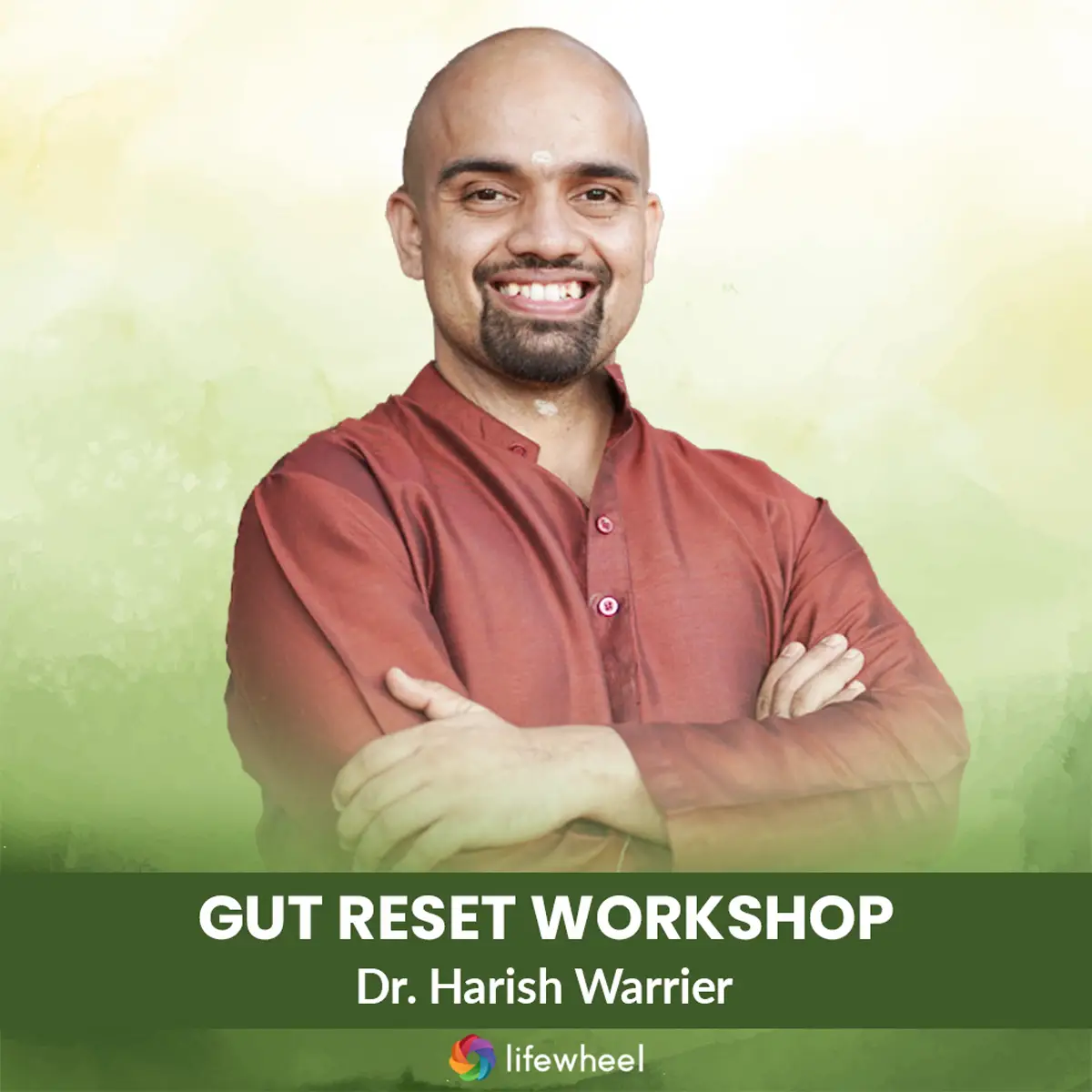 Gut Reset Workshop - LifeWheel